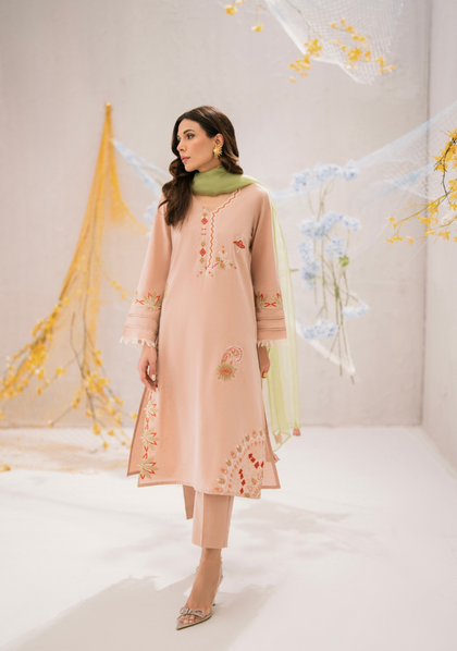 Collections – Solids Official