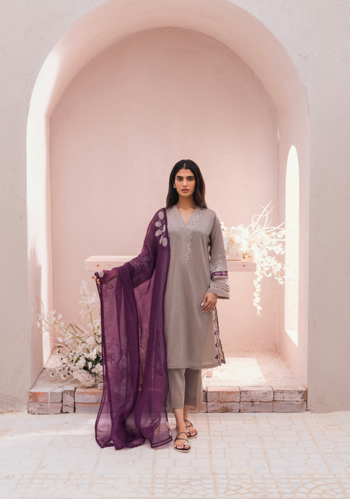 Collections – Solids Official